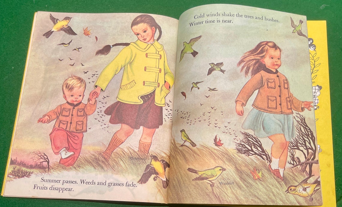 Birds a Child's First Book About Our Most Familiar Birds, Little Golden ...