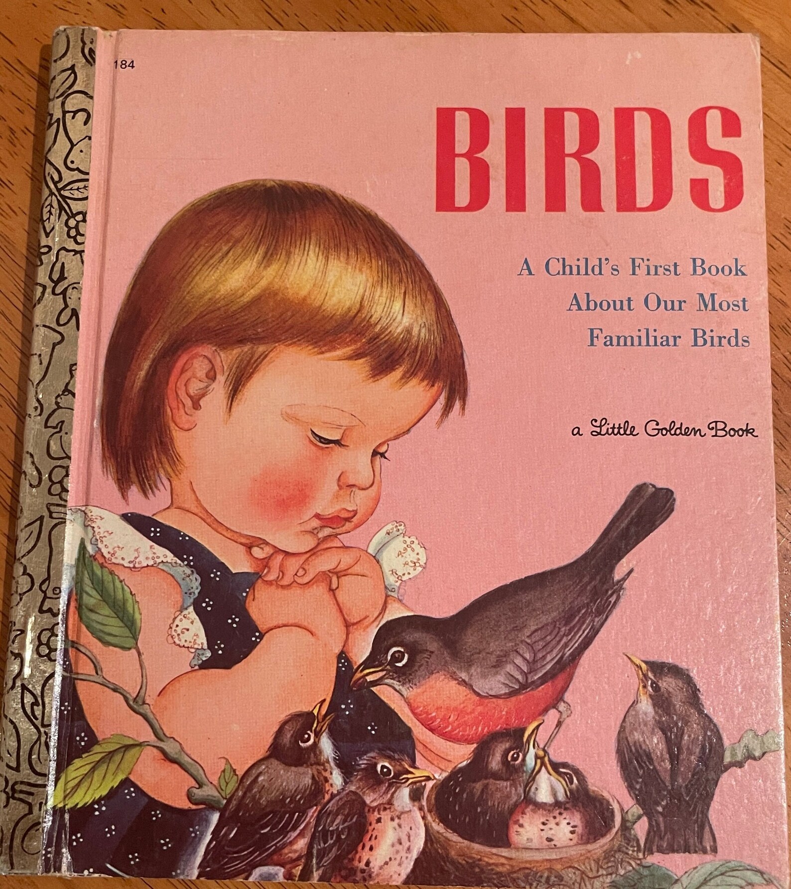 Birds a Child's First Book About Our Most Familiar Birds, Little Golden ...