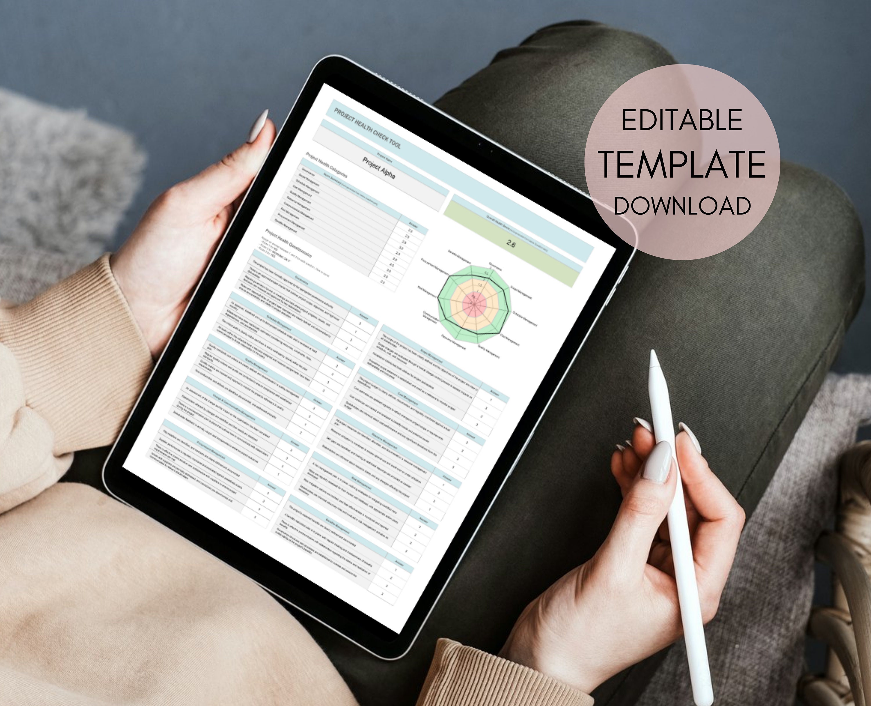 Project Health Check Tool, Project Management Template, Project Status ...