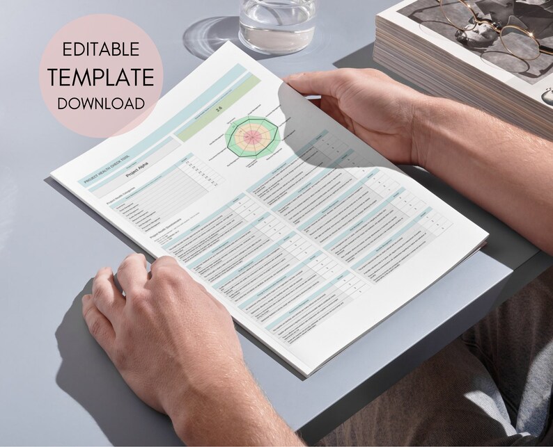 Project Health Check Tool, Project Management Template, Project Status ...