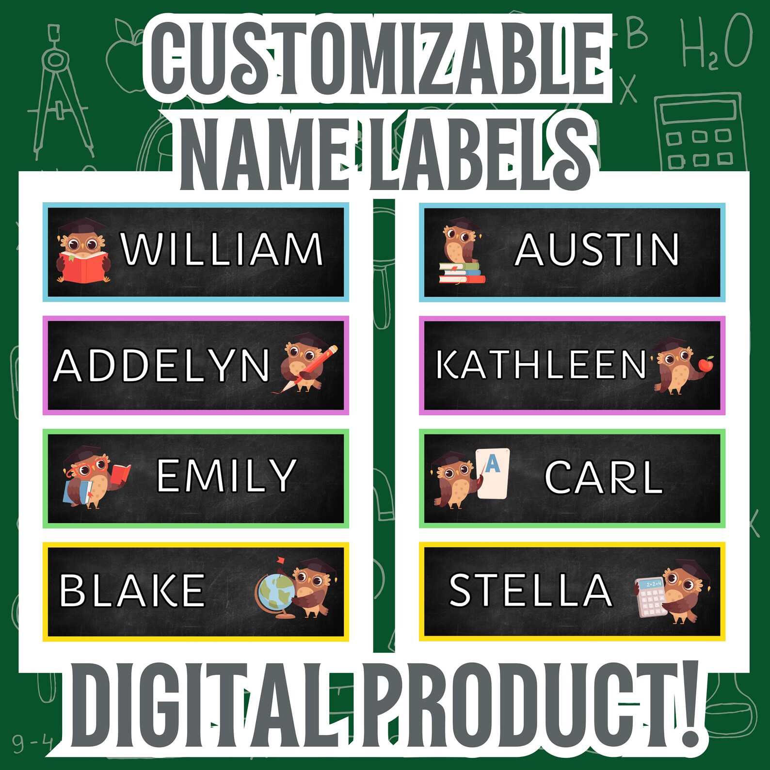 Owl Class Name Labels: Editable Teacher Canva Template (digital ...