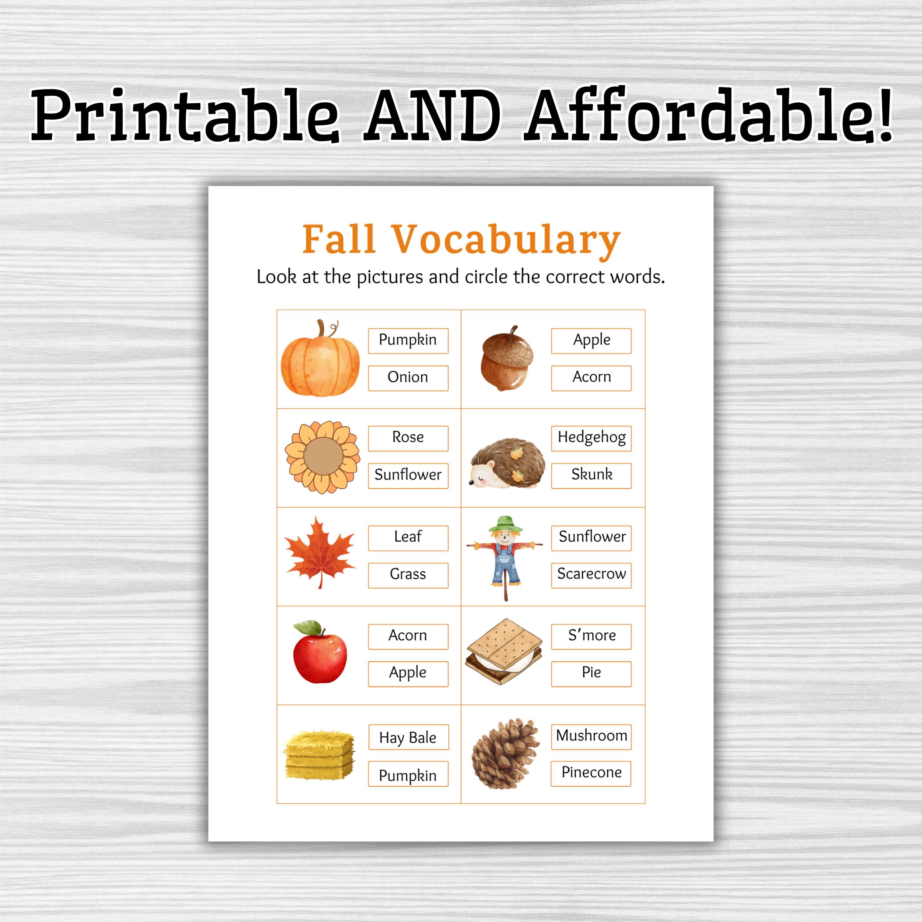 Fall Activity Worksheets for Kids: Counting, Tracing & Vocabulary (PDF ...