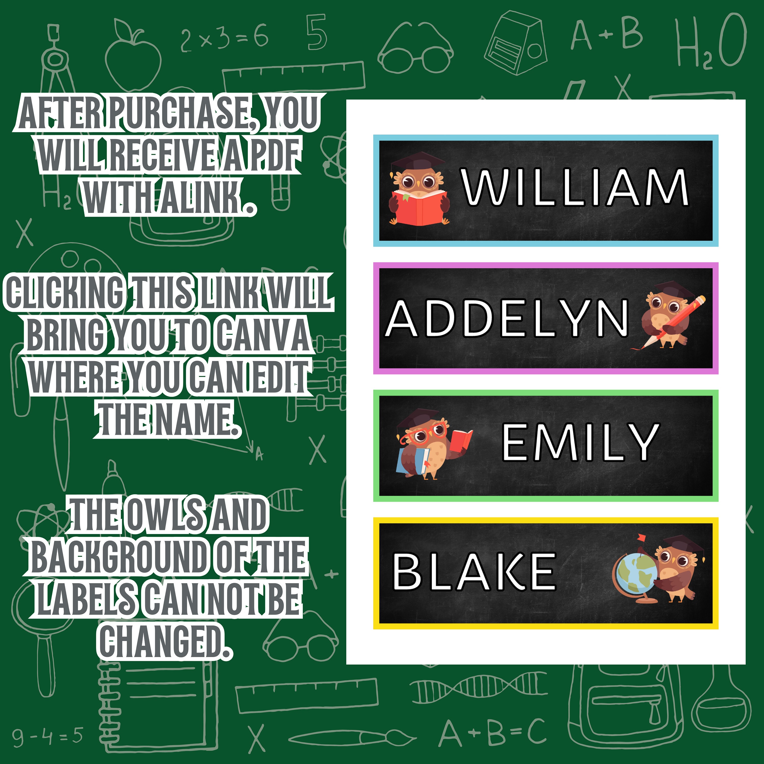 Owl Class Name Labels: Editable Teacher Canva Template (digital ...