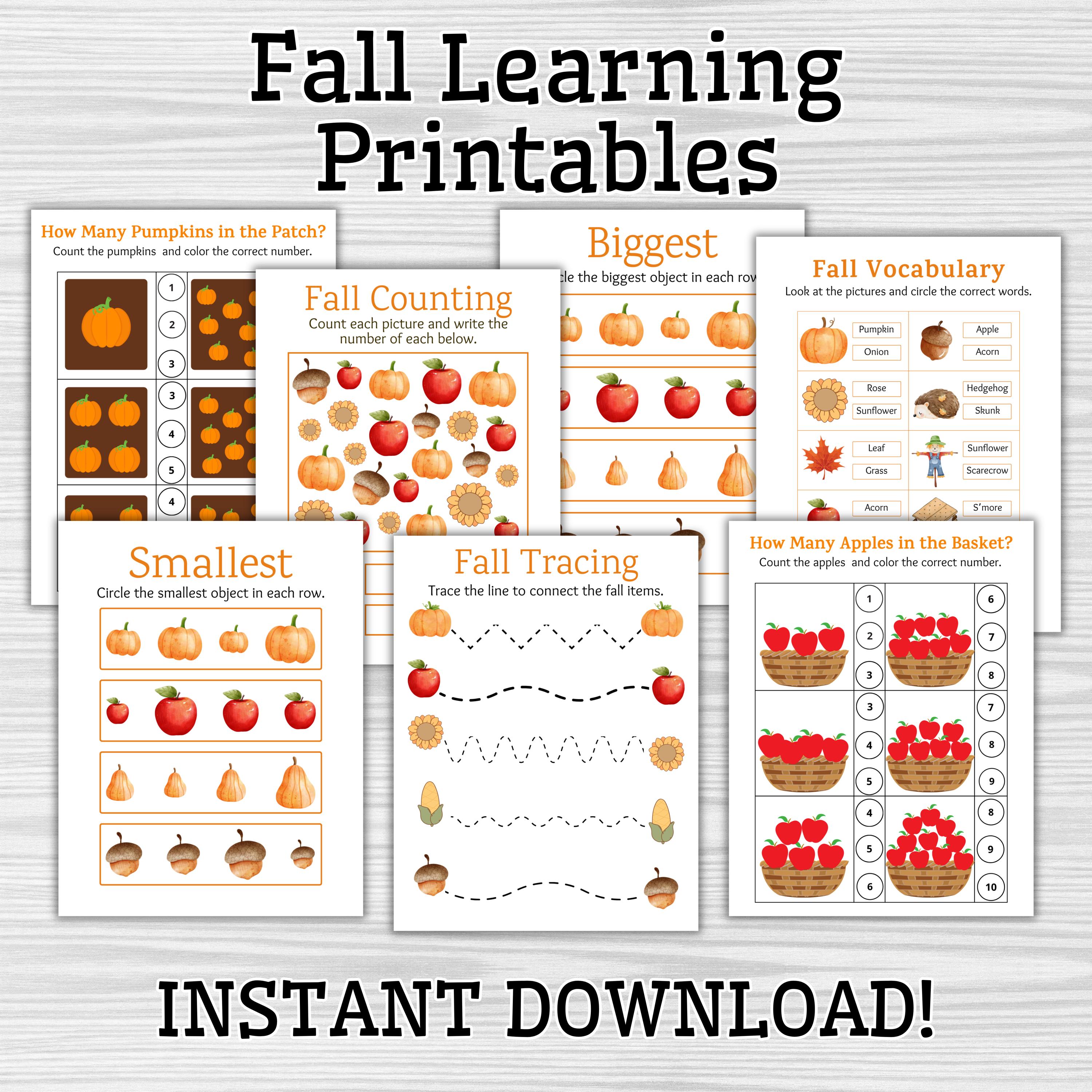 Fall Activity Worksheets for Kids: Counting, Tracing & Vocabulary (PDF ...