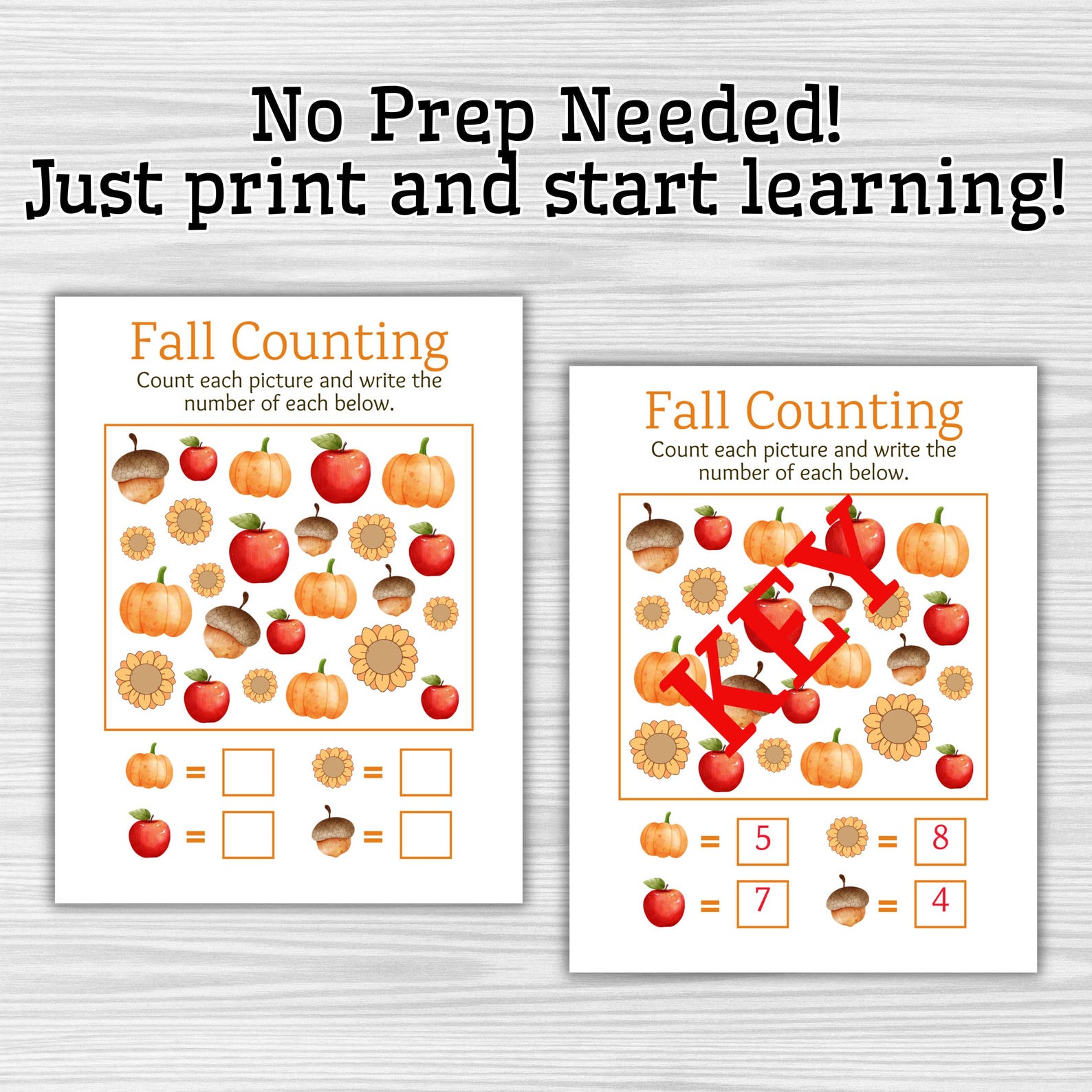 Fall Activity Worksheets for Kids: Counting, Tracing & Vocabulary (PDF ...