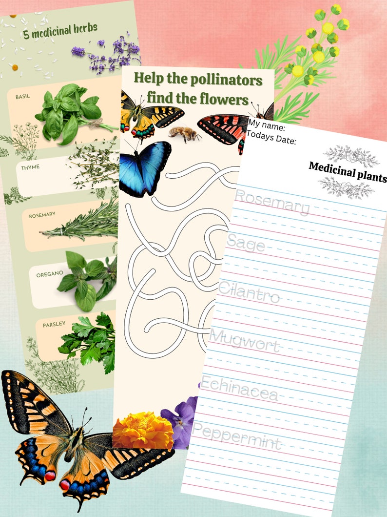 Plant Exercises for Kids - Etsy