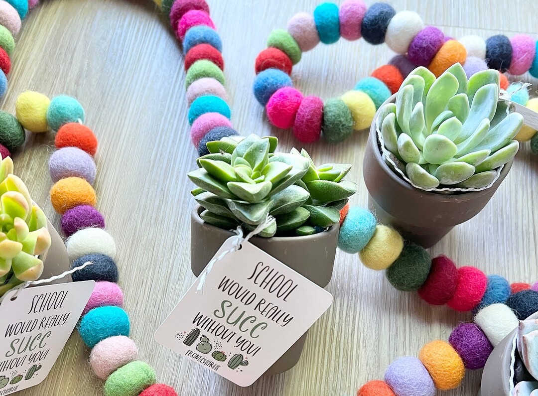 PRINTABLE TAG, Succulent, Teacher Appreciation Week, Teacher Thank You ...