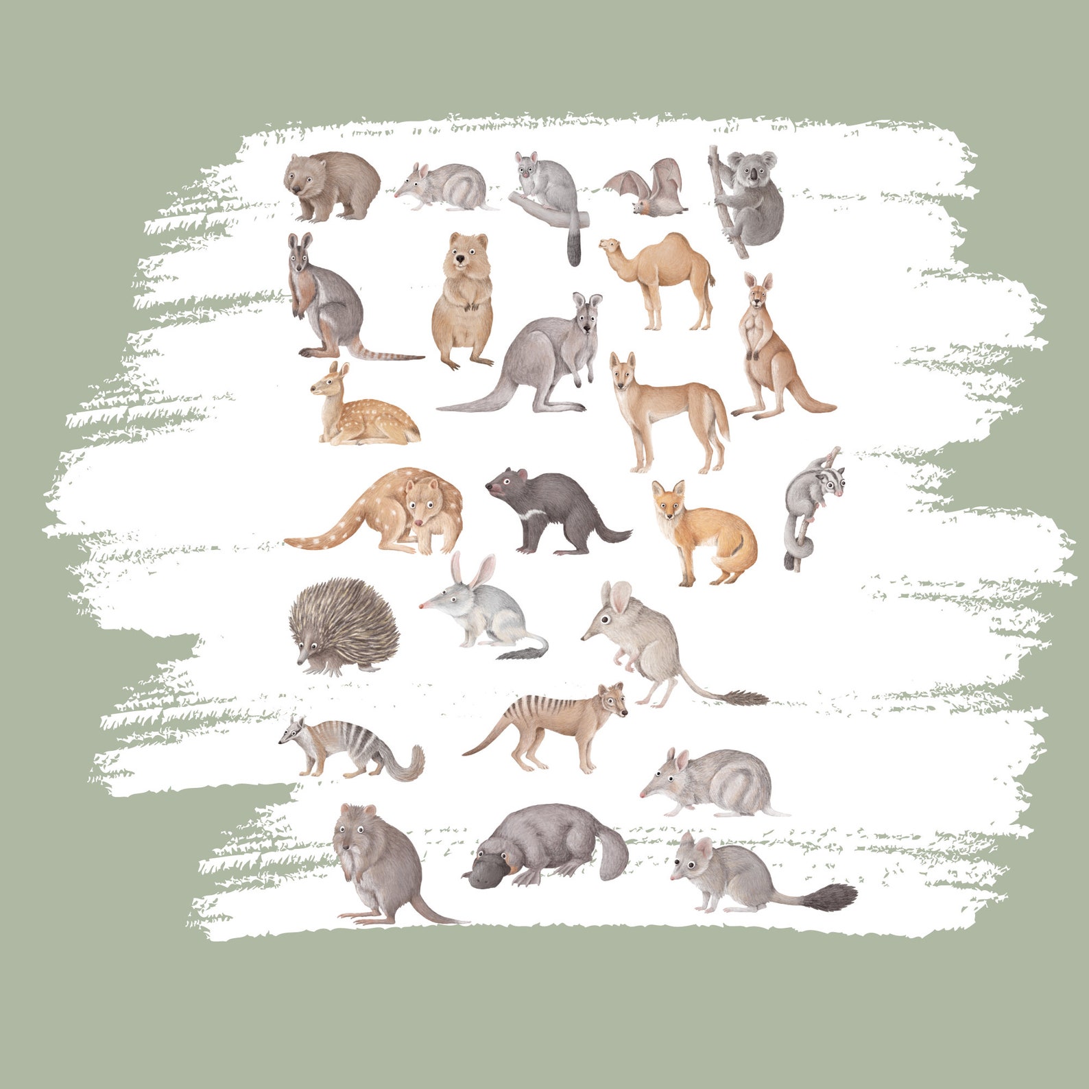 Australian Alphabet A-Z Transparent Background Template Included All ...