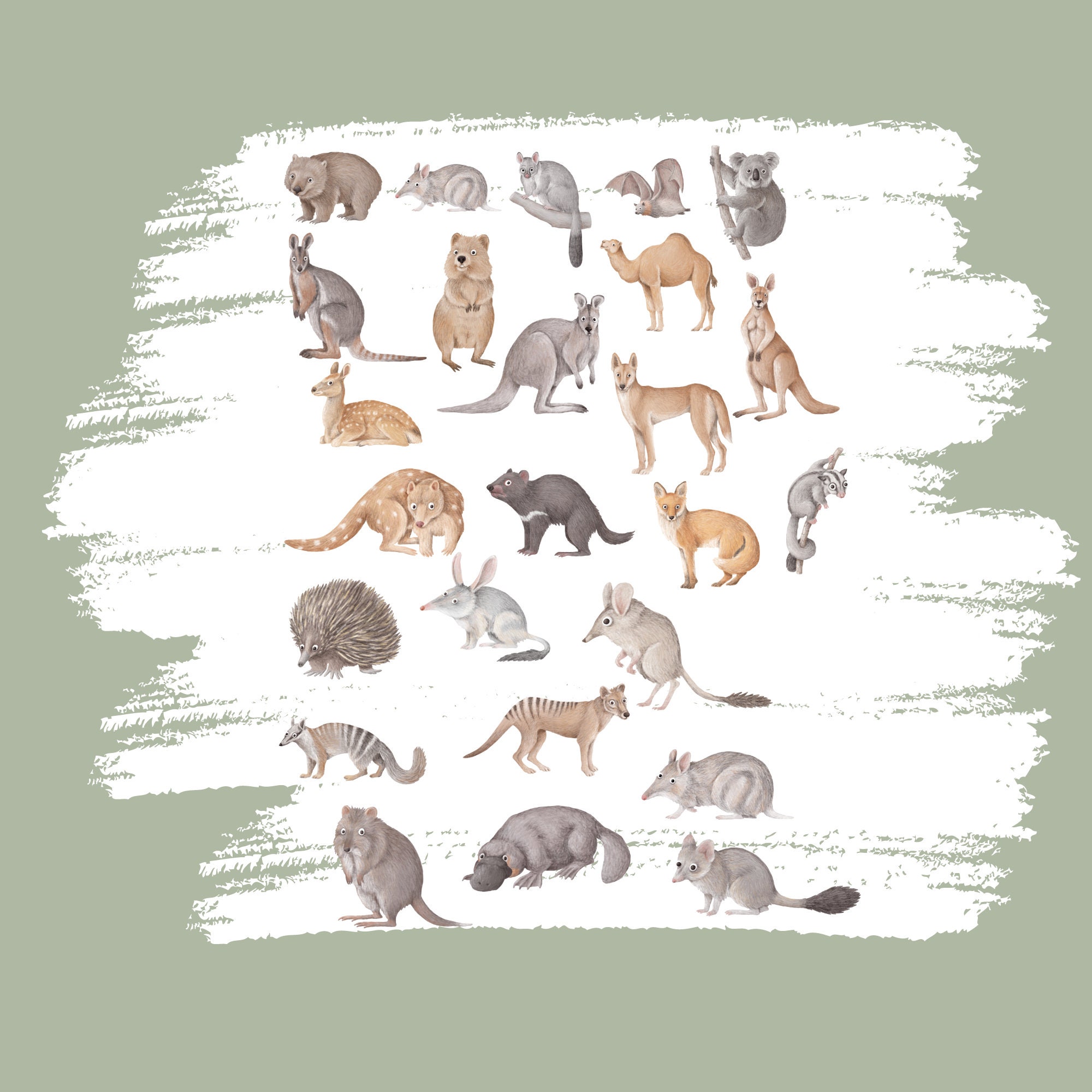 Australian Alphabet A-Z Transparent Background Template Included All ...