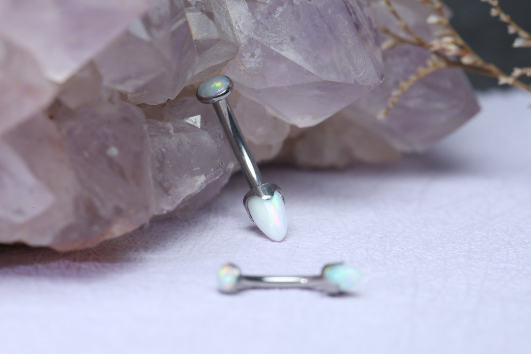 Vertical Labret Bridge Eyebrow Ring G23 Titanium Belly Button Ring ...