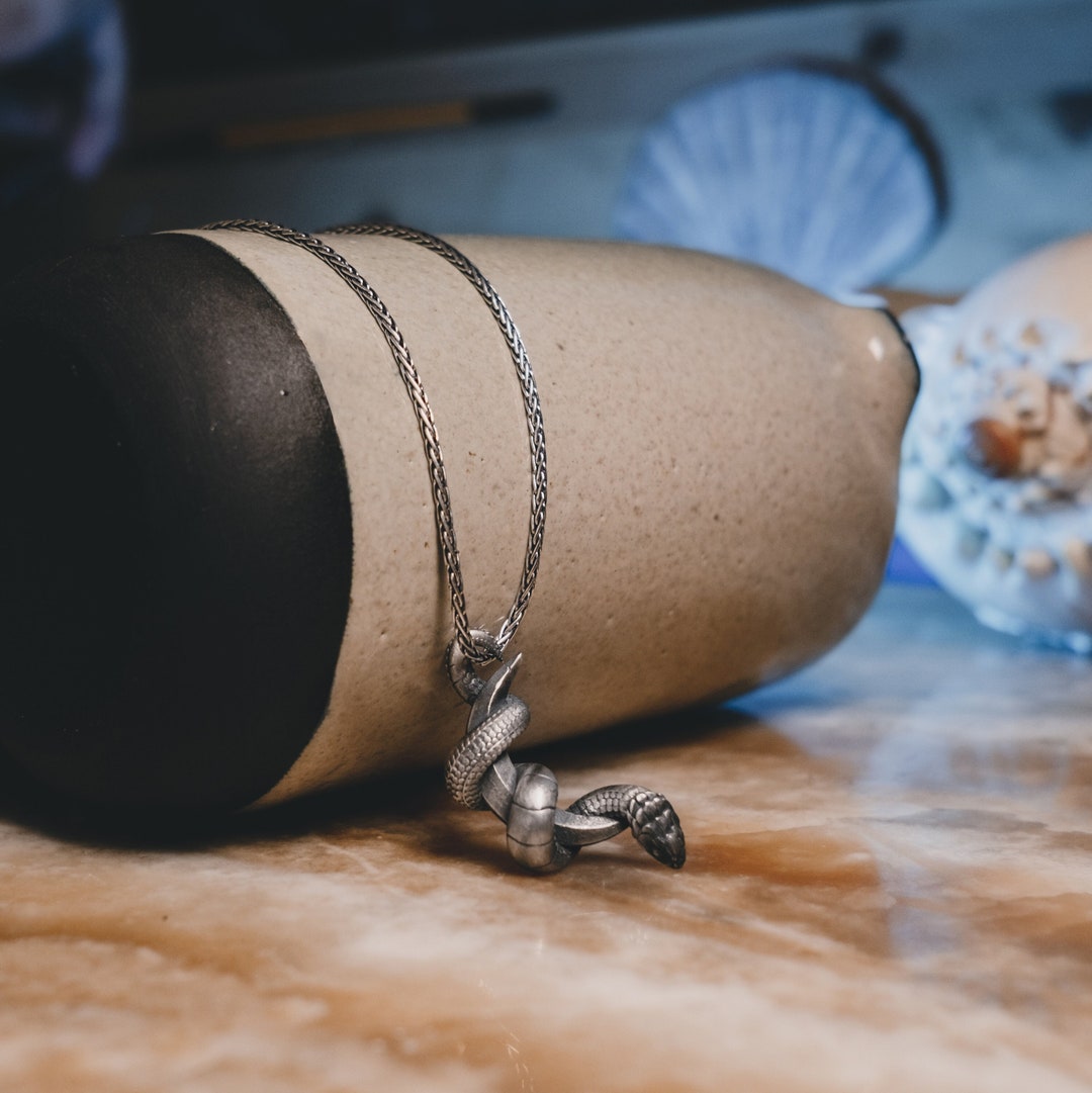 Snake Wrapping Around Moon Silver Necklace, Serpent and Crescent ...