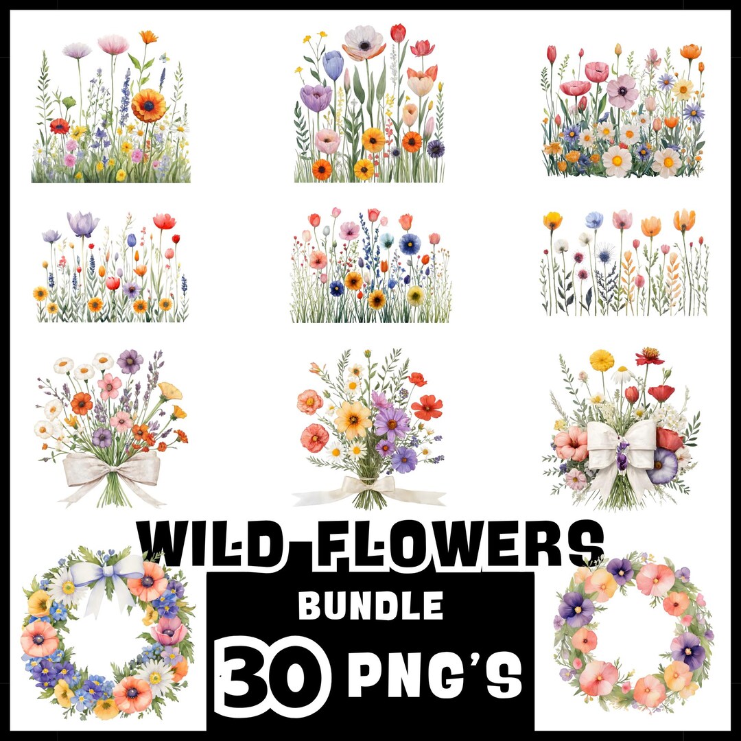 30+ Wildflower Png Bundle, Flower Meadow Png, Flower Border Png ...