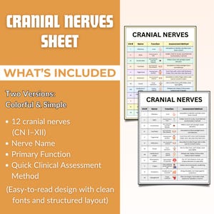 Cranial Nerves Study Guide 12 Cranial Nerves Cheat Sheet - Cranial ...