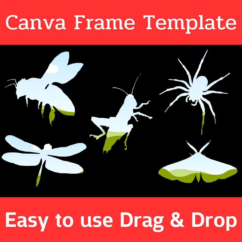 Canva Frame Template - Etsy