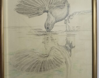 Bird Graphite Art - Etsy