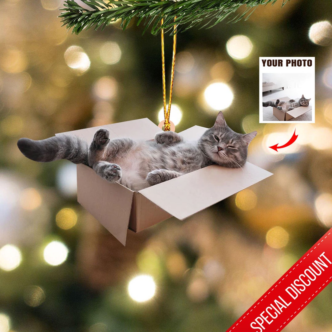 Cute Cat Ornament, Custom Cat Photo Ornament, Acrylic Ornament ...