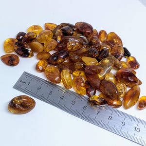 Natural Amber Stones, Baltic Amber Drops, Small Amber Pieces, Amber ...