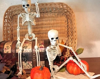 Fake Skeleton Human - Etsy