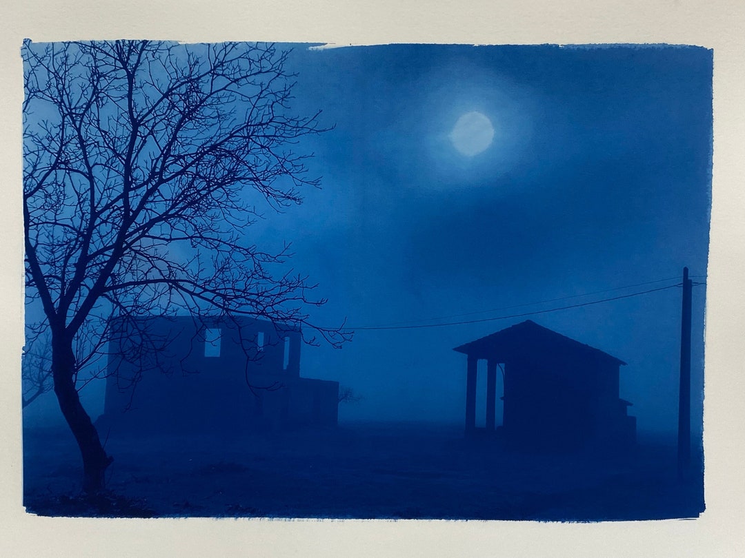 Cyanotype Trees in the Fog - Etsy