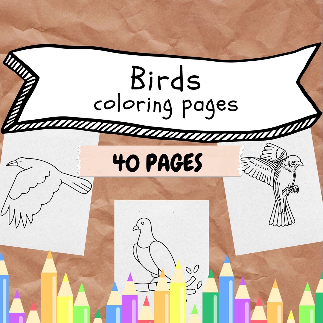 Birds Coloring Pages, Digital Download, Cute and Kids Friendly ...