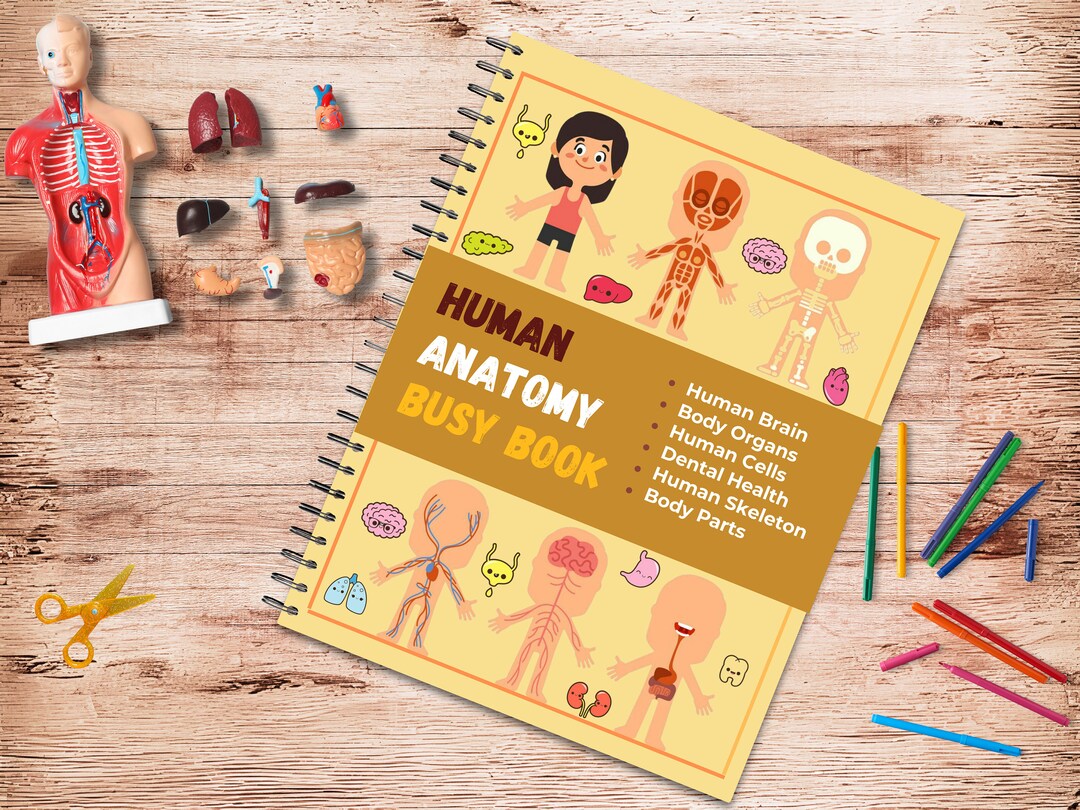 Human Anatomy Busy Book Printable Preschool Worksheets Homeschool ...