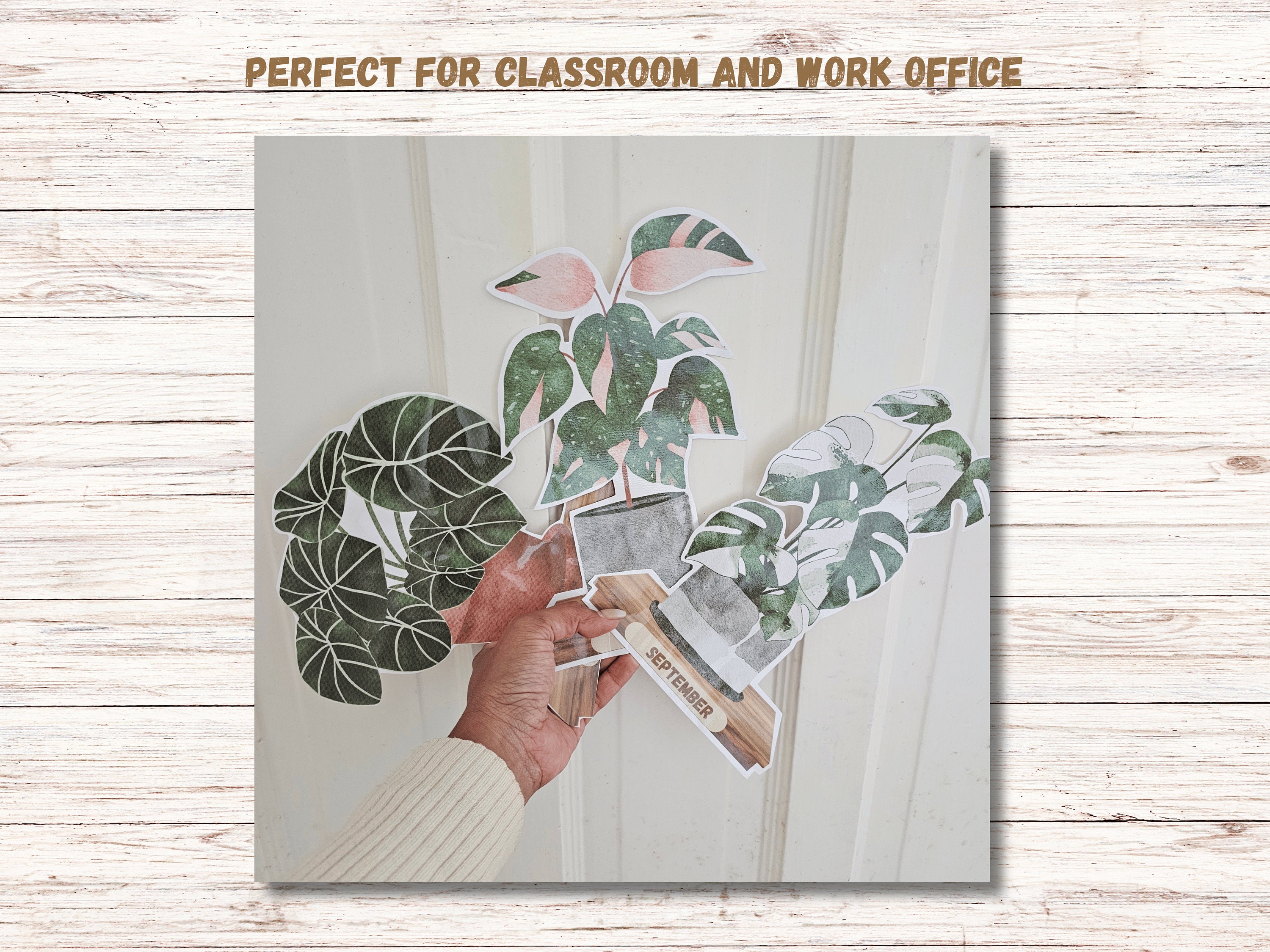 BOHO PLANTS Birthday Display | Birthday Chart | Plants | Boho Plants ...