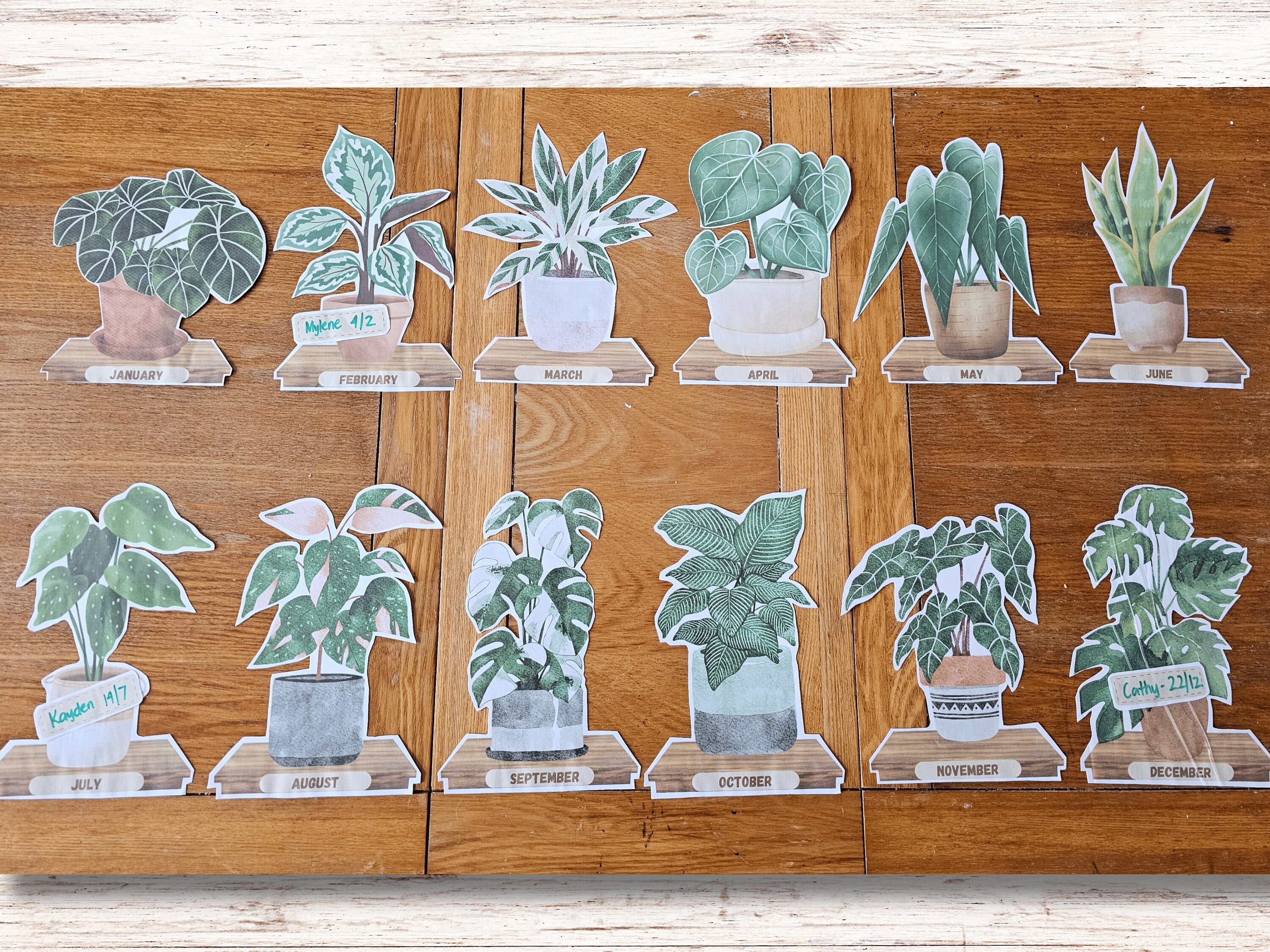 BOHO PLANTS Birthday Display | Birthday Chart | Plants | Boho Plants ...