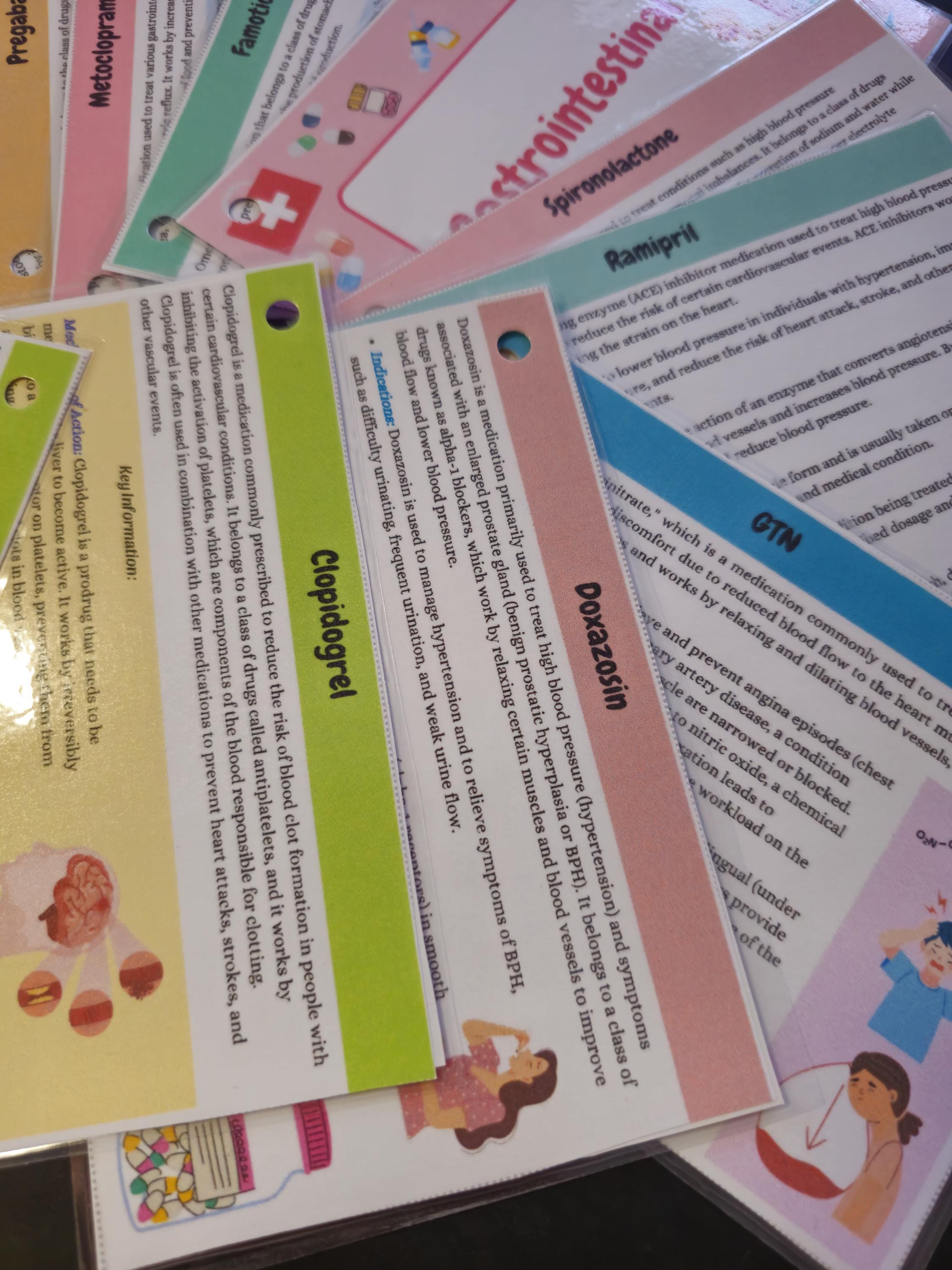 Common Medications in Practice Flashcards Pocket Guide for Student ...