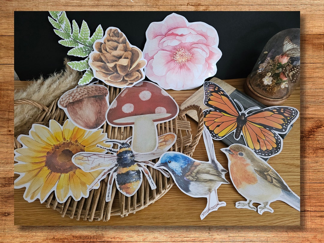 Nature Decals Cut Out Wall Decoration Printable / Home School Activity ...
