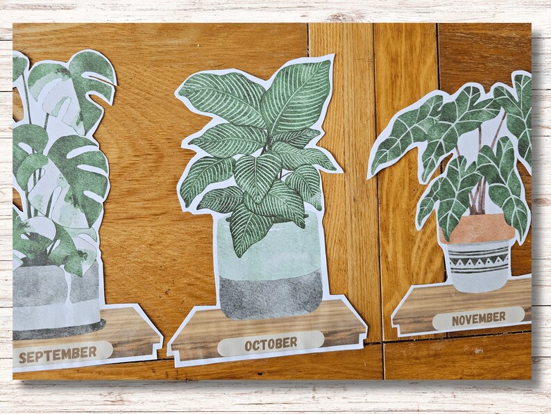 BOHO PLANTS Birthday Display | Birthday Chart | Plants | Boho Plants ...