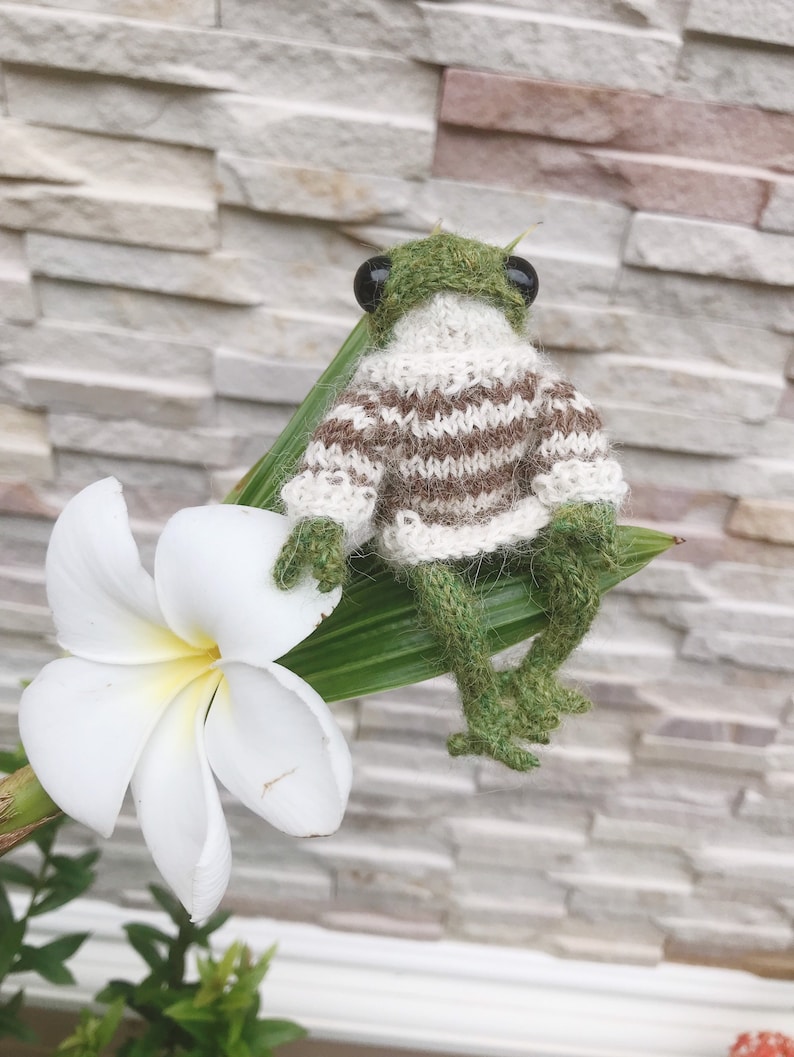 Knitted Frog in Sweater Crochet Froggy in Clothes Frog and - Etsy
