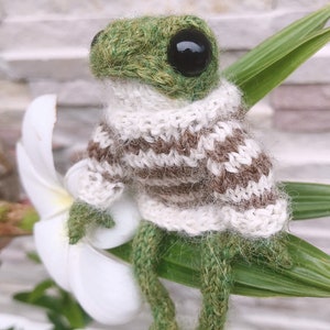 Knitted Frog in Sweater Crochet Froggy in Clothes Frog and Toad Plush ...