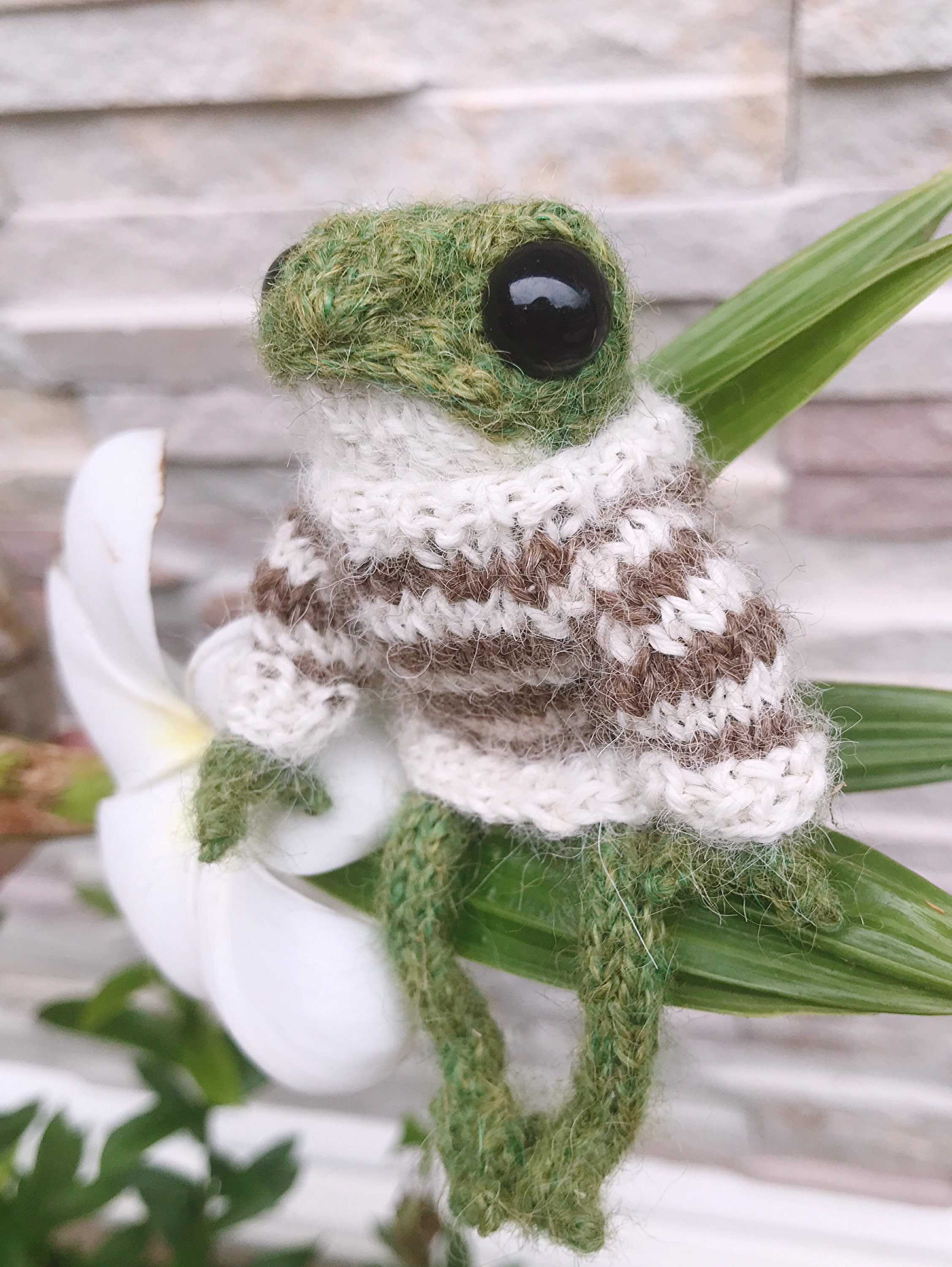 Knitted Frog in Sweater Crochet Froggy in Clothes Frog and Toad Plush ...