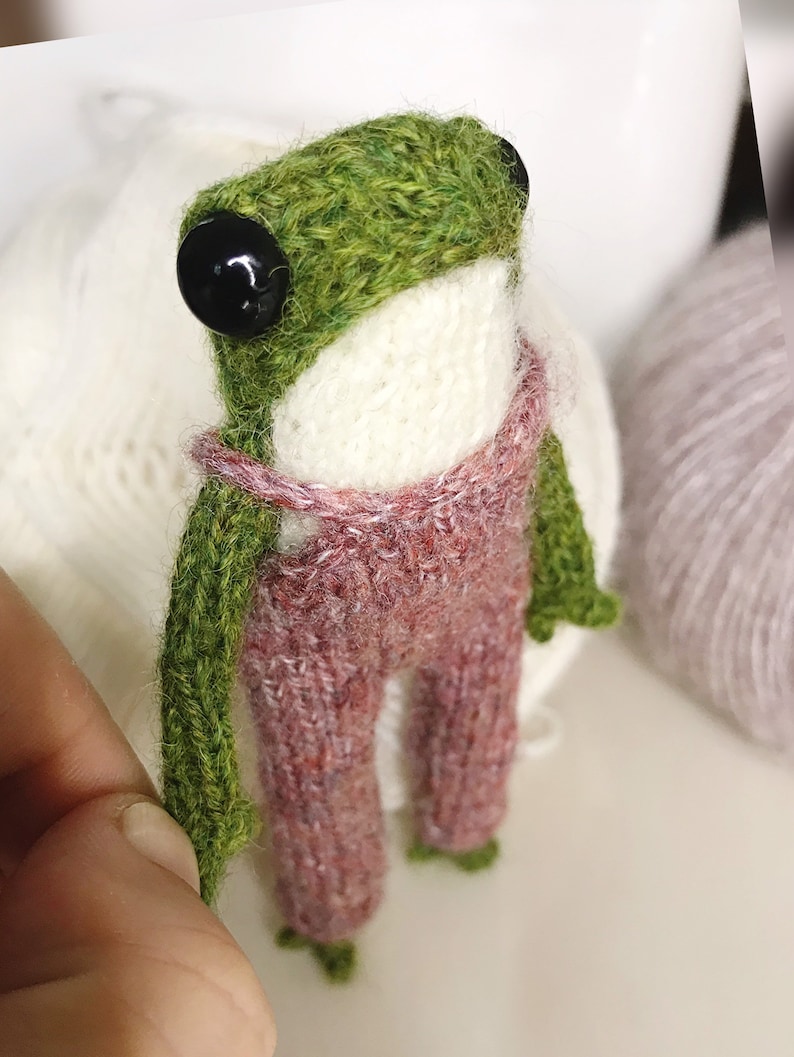 Knitted Frog in Overall Knitting Frog Toy in Sweater Crochet - Etsy