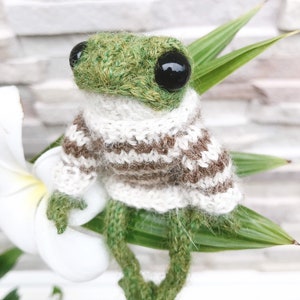 Knitted Frog in Sweater Crochet Froggy in Clothes Frog and Toad Plush ...