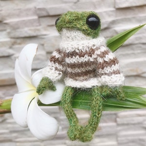 Knitted Frog in Sweater Crochet Froggy in Clothes Frog and Toad Plush ...