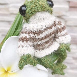 Knitted Frog in Sweater Crochet Froggy in Clothes Frog and Toad Plush ...