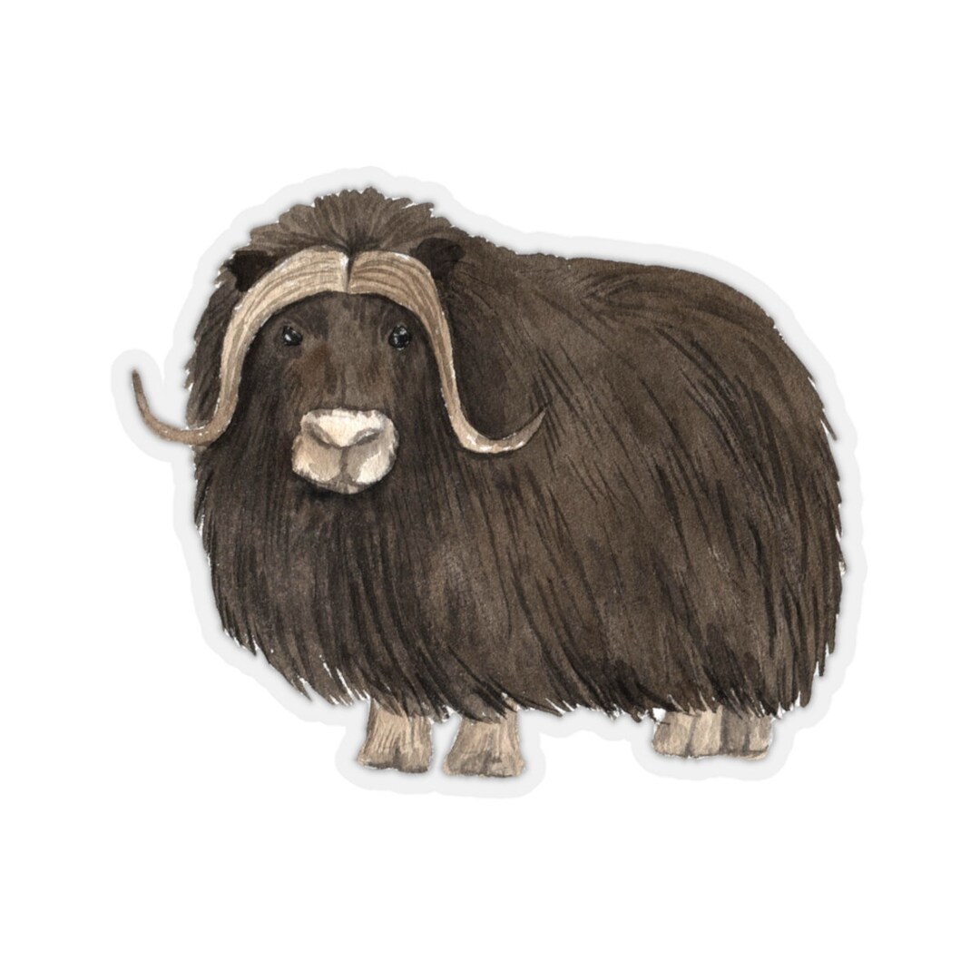 Watercolor Musk Ox Sticker Arctic Animal Laptop Sticker - Etsy