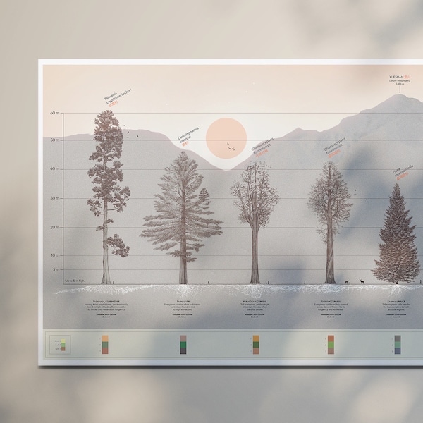 Nature Infographics - Etsy UK