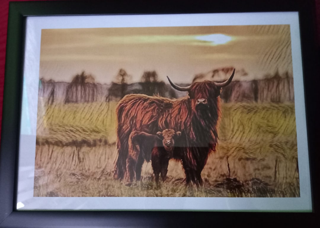 Highland Cow Print Illustration A4 Framed - Etsy