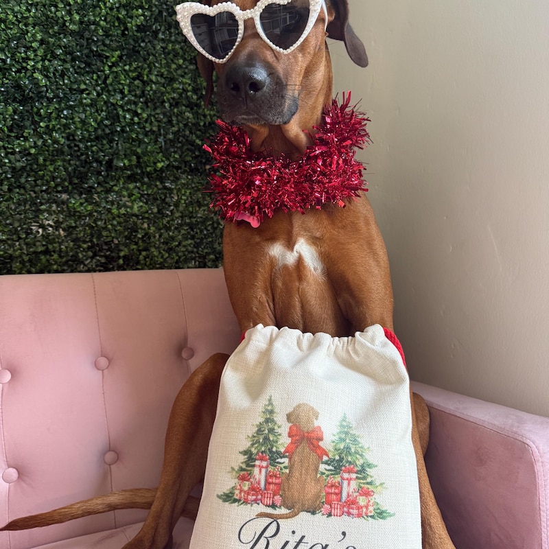 Draw String Dog Bags - Etsy UK