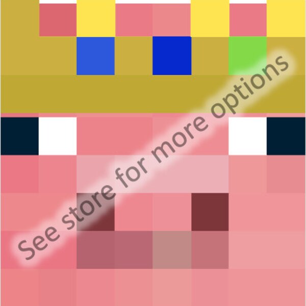 Technoblade Costume - Etsy Norway