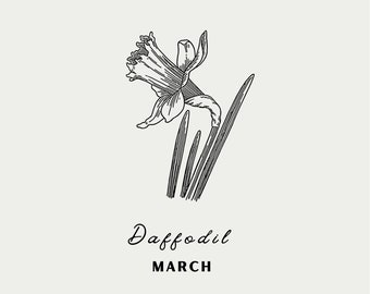 Daffodil March Birth Flower Art Print - Etsy