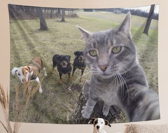 Bingus Toes Tapestry Dorm Room Decorations, Wall Decor, This is Bingus ...