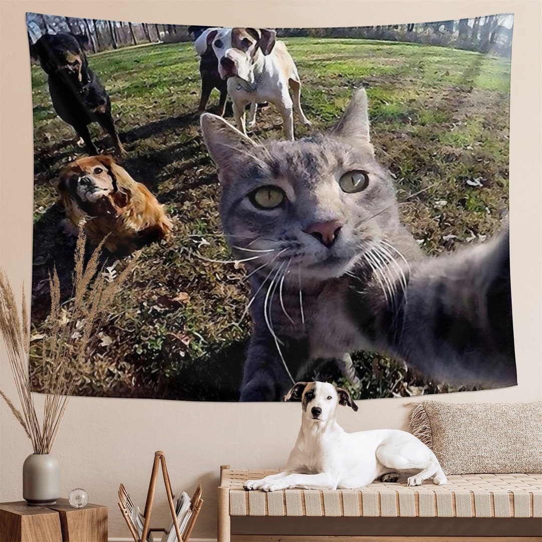 Funny Cat Selfie Meme Tapestry Wall Hanging for College Dorm Room, Cat ...