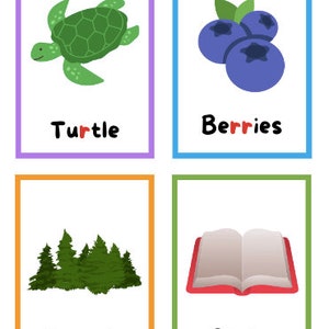 L&R Articulation Flashcards, Speech Therapy Materials, Speech Therapy ...