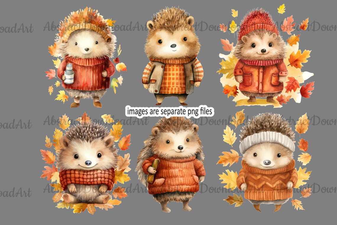 Autumn Hedgehog Clipart Hedgehog With Autumn Scarf Watercolor - Etsy