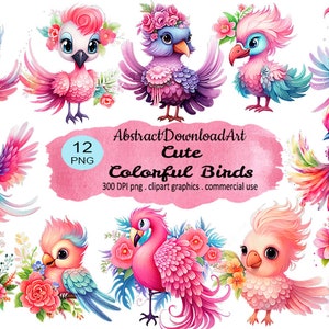 Cute Colorful Birds Clipart Rainbow Peacock Pink Parrot Digital ...