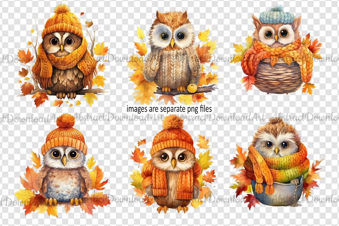 Autumn Owl Clipart Animal Clipart Adorable Little Owl - Etsy