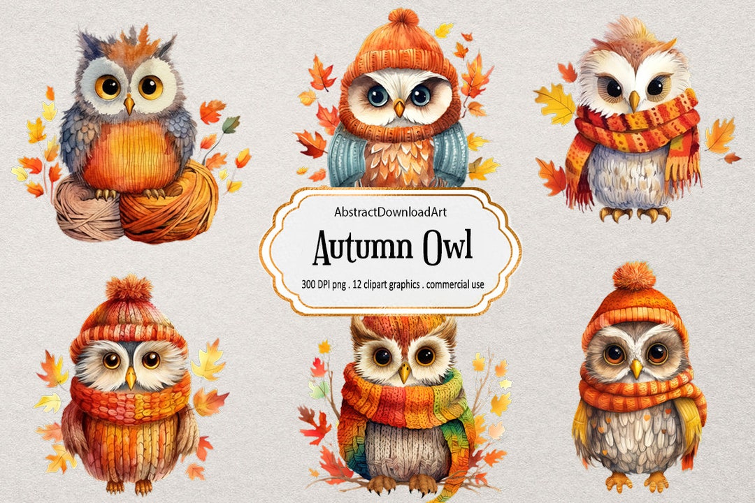 Autumn Owl Clipart, Animal Clipart, Adorable Little Owl Digital ...